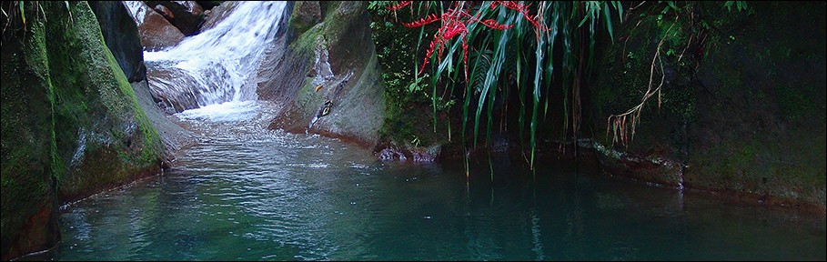 Grotte Anse Castalia