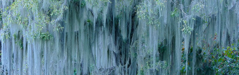 Grotte Anse Castalia